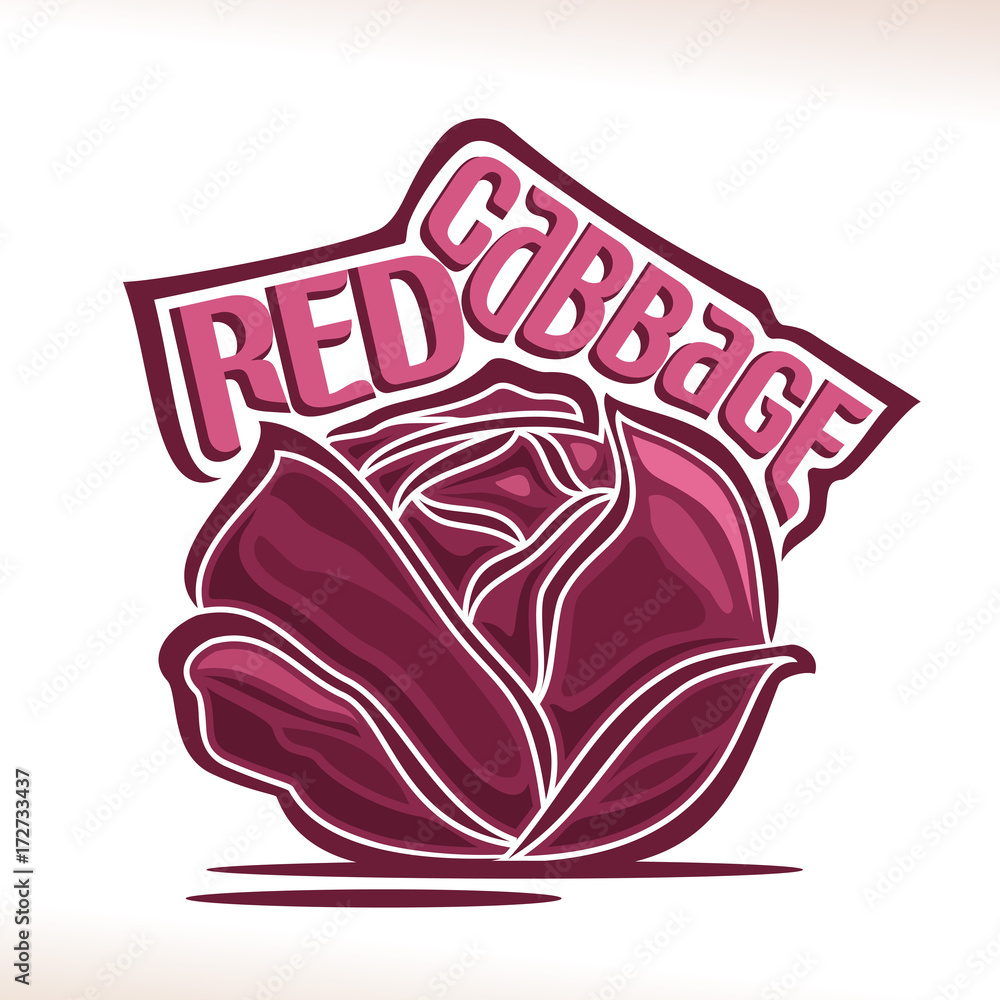 Vector logo for fresh Red Cabbage: label with whole violet cabage ...