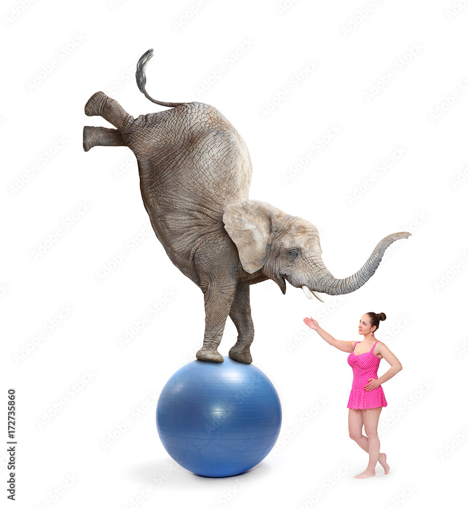 Circus clown girl and elephant balancing on a blue ball. Stock Photo | Adobe Stock
