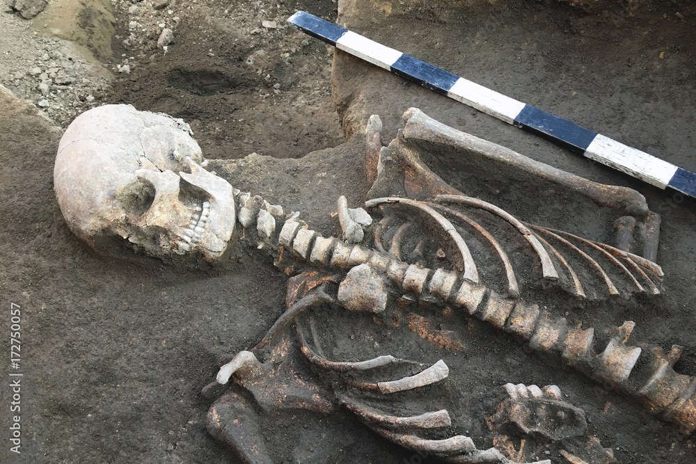 Archaeological excavations and finds (bones of a skeleton in a human ...