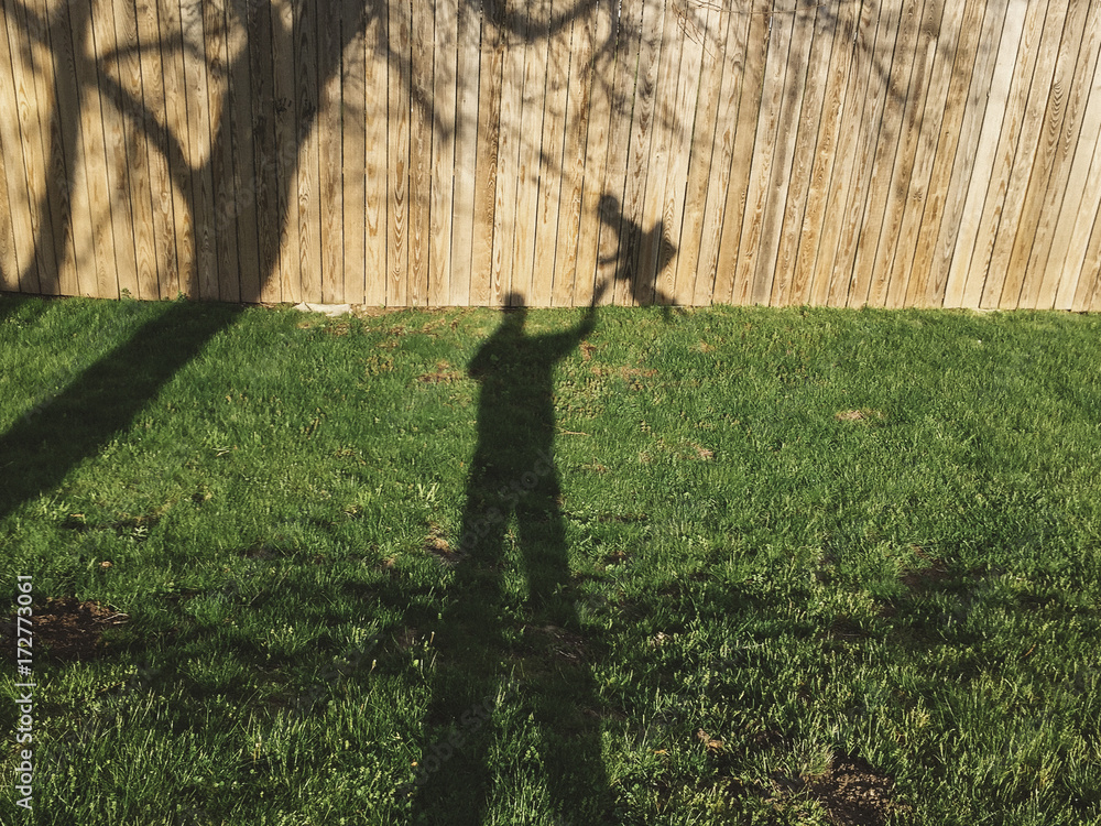Shadow of man taking selfie with boy on swing Stock Photo | Adobe Stock