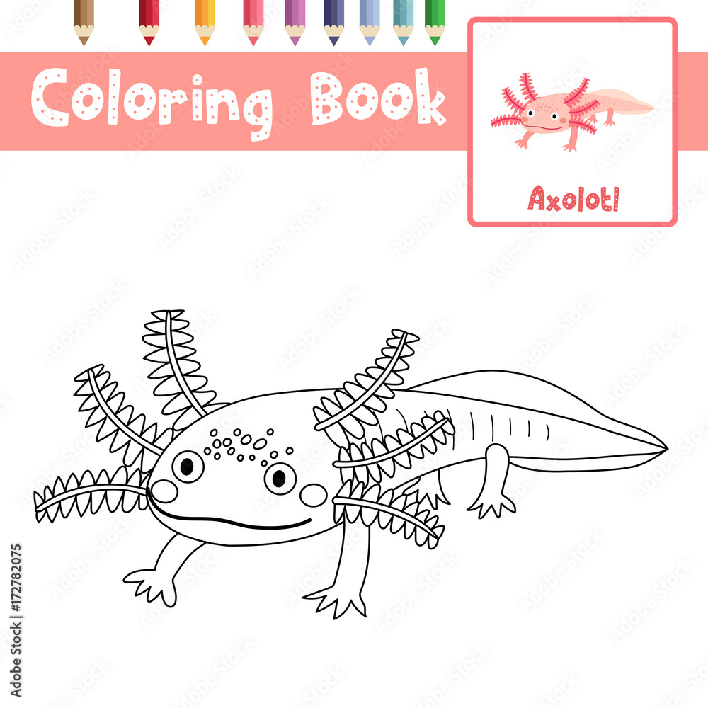 Coloring page of axolotl mexican salamander animals for preschool kids ...