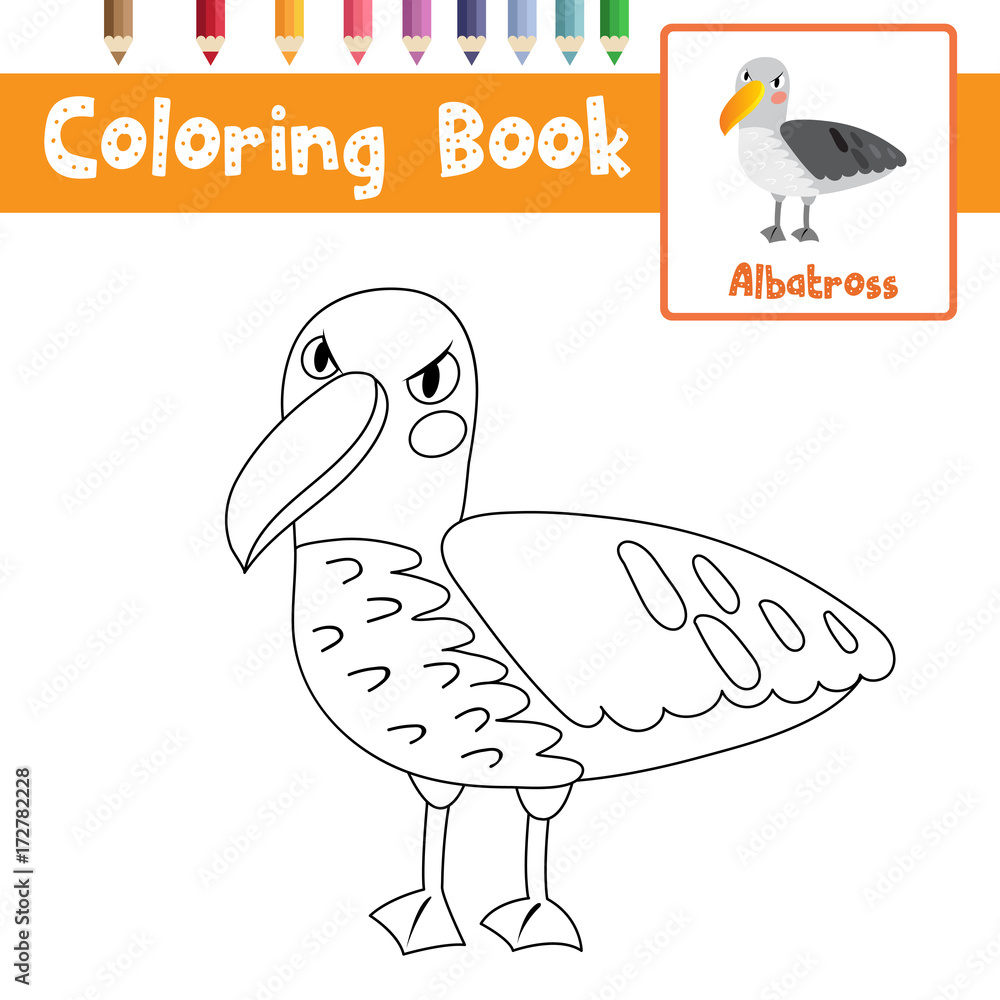 Coloring page of albatross animals for preschool kids activity ...
