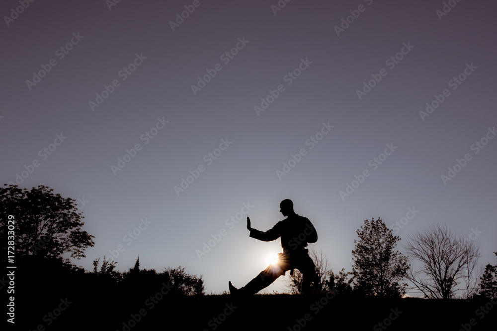 Martial Artists Silhouette - Defensive Posture Stock Photo | Adobe Stock