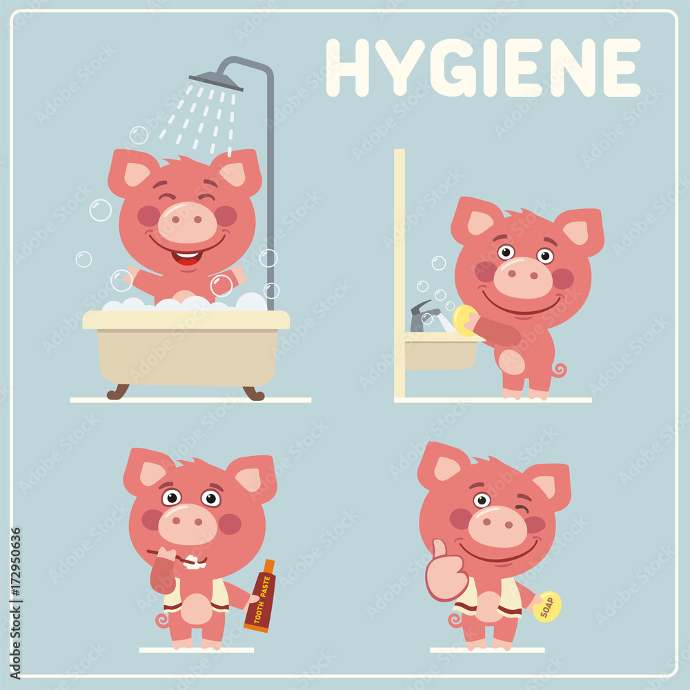 Set of funny pig is hygiene: showering, washing hands, brushing her ...