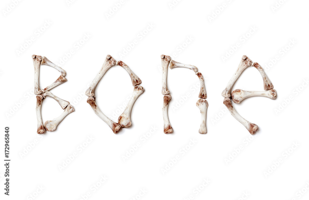 word bone is made up of chicken bones Stock Photo | Adobe Stock