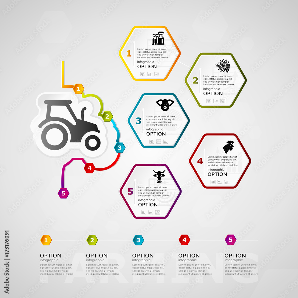 Farming timeline infographics design with five steps or options Stock ...