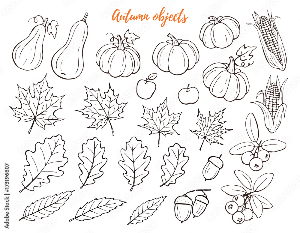 Autumn objects hand drawn collection isolated on white background ...