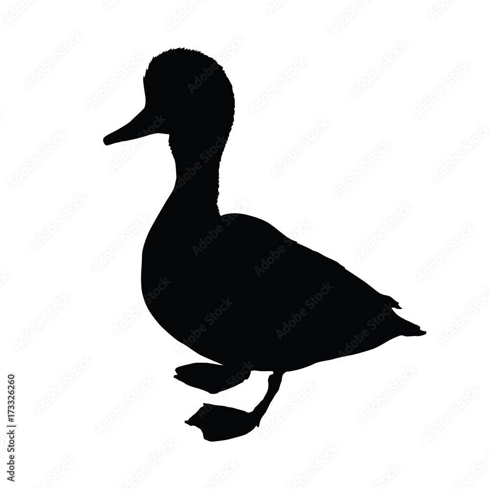 Vector standing duck silhouette on white background. Stock Vector ...