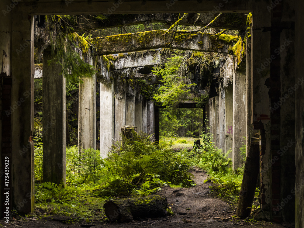 Old dirty broken ruined abandoned building among Bog, Facade ruins of ...