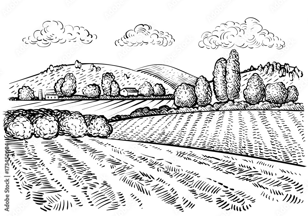 Farm Landscape Drawing