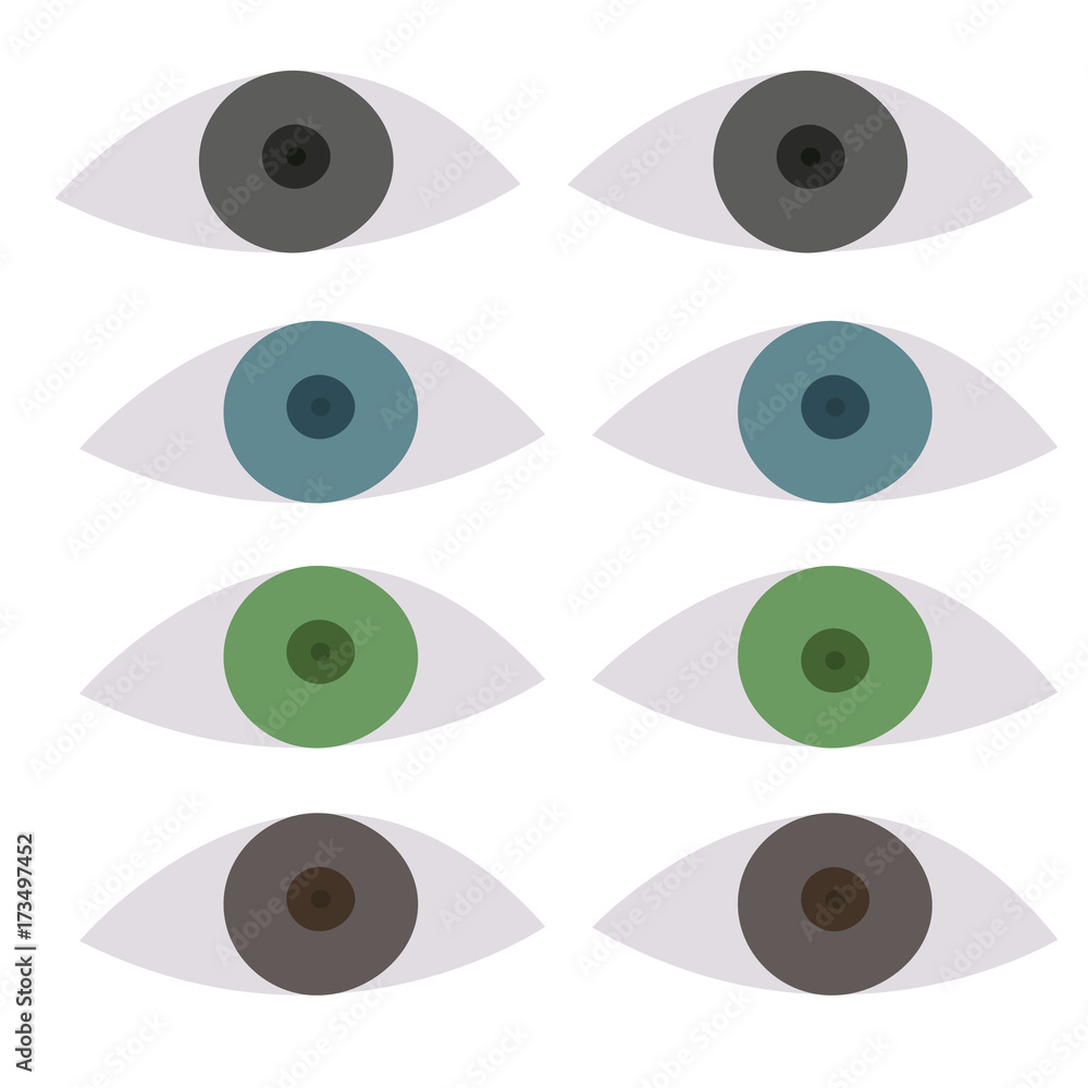 Various color types of eyes, vector set Stock Vector | Adobe Stock