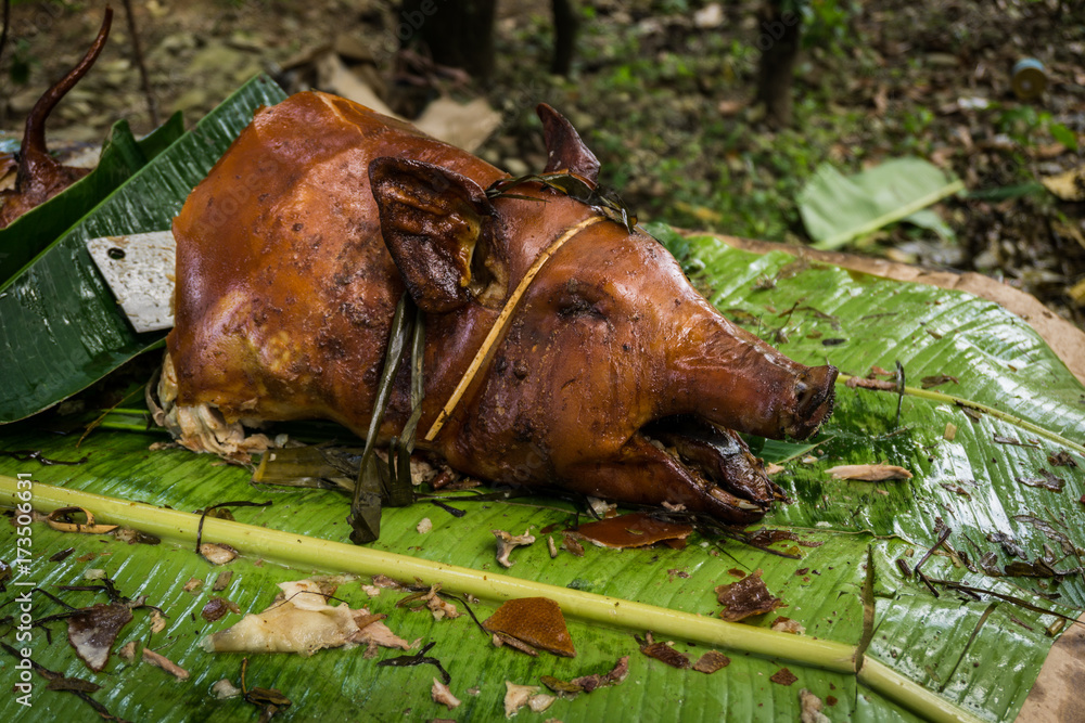 Pig - Baboy - Philippines Stock Photo | Adobe Stock