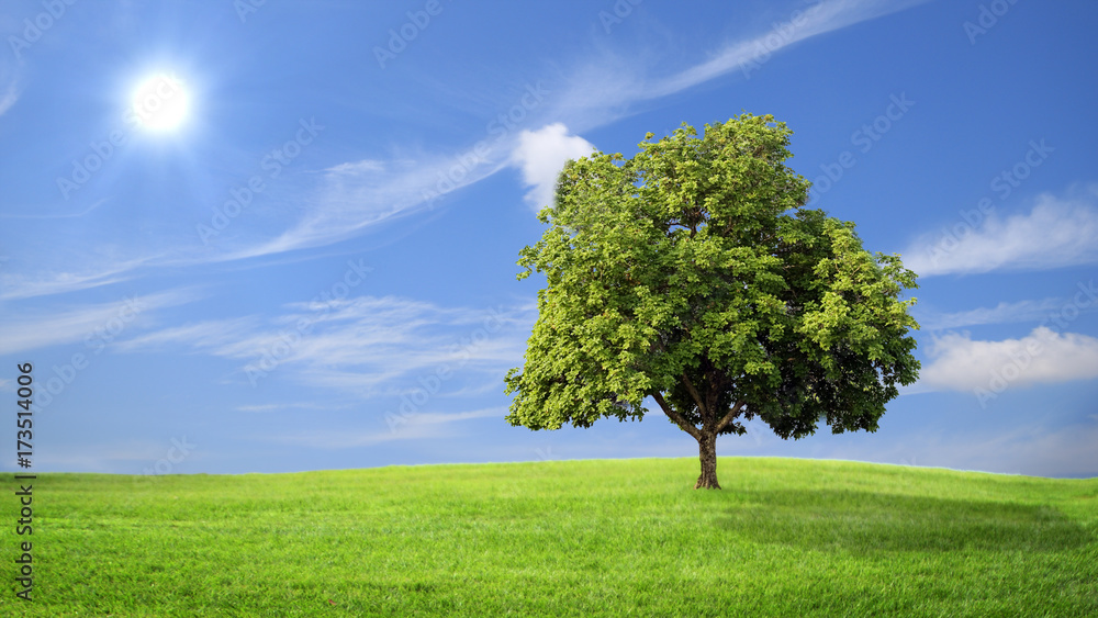 Green grass and tree with clouds background, green concept. Stock Photo ...