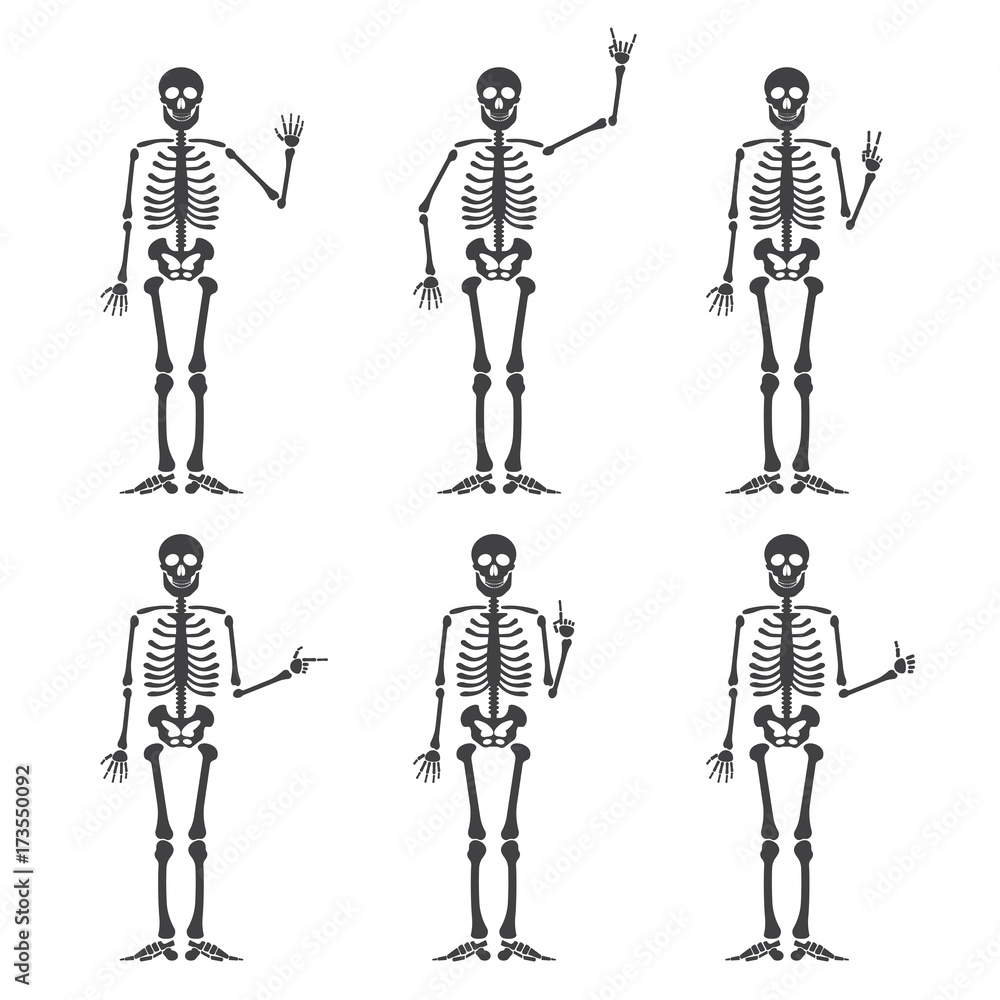 Skeleton hand gestures set: ok, finger up, finger down, fist, middle ...