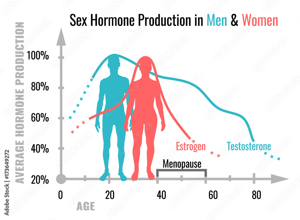 Hormone production chart Stock Vector | Adobe Stock