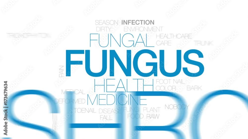 Fungus animated word cloud, text design animation. Kinetic typography ...