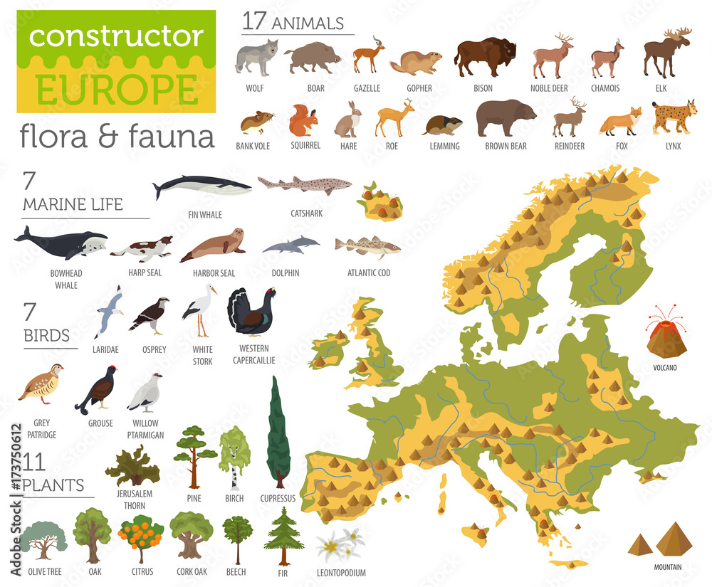 Flat European flora and fauna map constructor elements. Animals, birds ...
