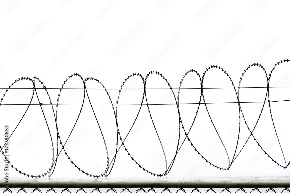 Freedom concept using : Symbol of Barbed wire wall is symbol of Stock ...