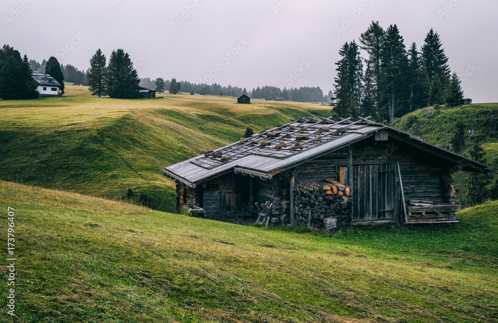 Amazing alpine meadows Alpe di Siusi (Seisser Alm) and traditional old ...