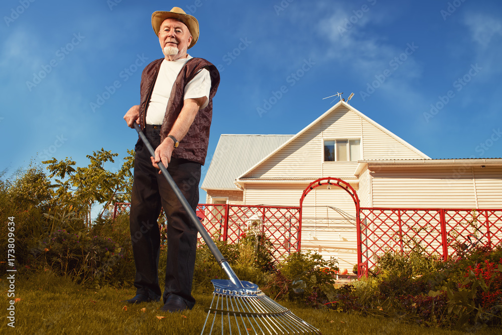 raking in the garden Stock-Foto | Adobe Stock
