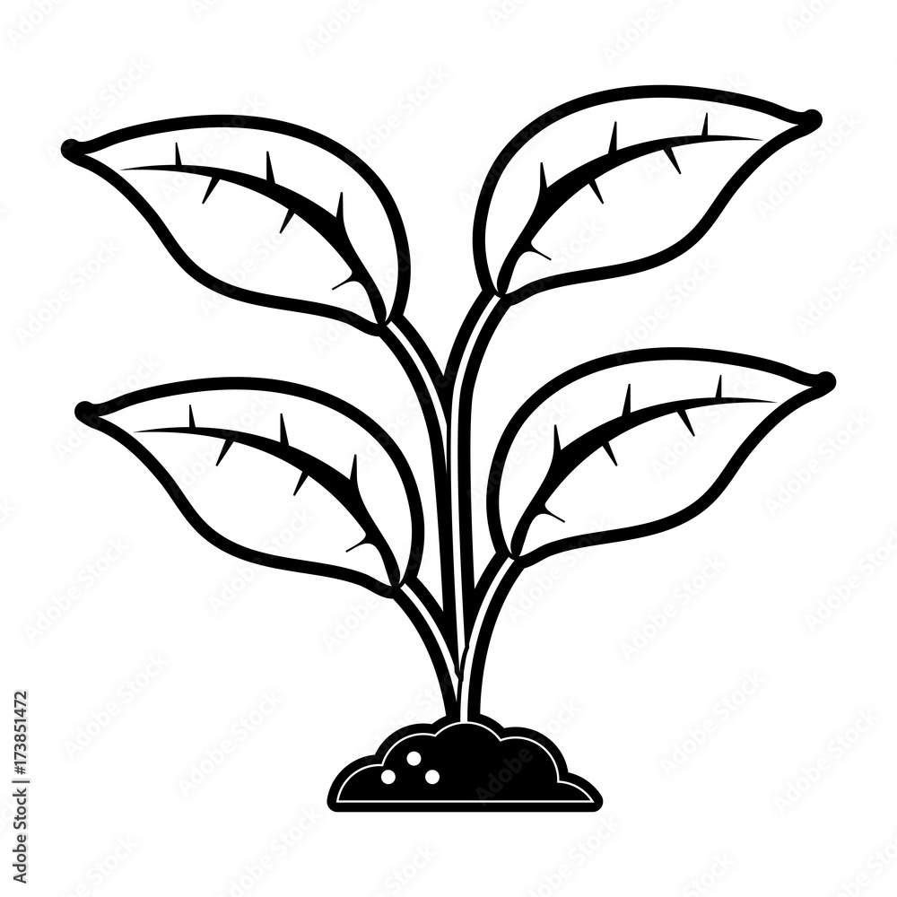 Plant Sprout Clipart