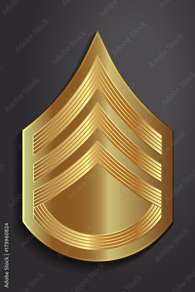 Military Ranks and Insignia. Stripes and Chevrons of Army Stock Vector ...