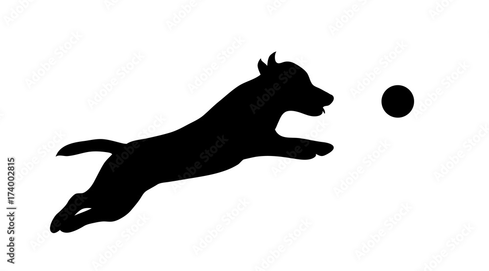 Vector silhouette of dog with ball on white background. Stock Vector ...