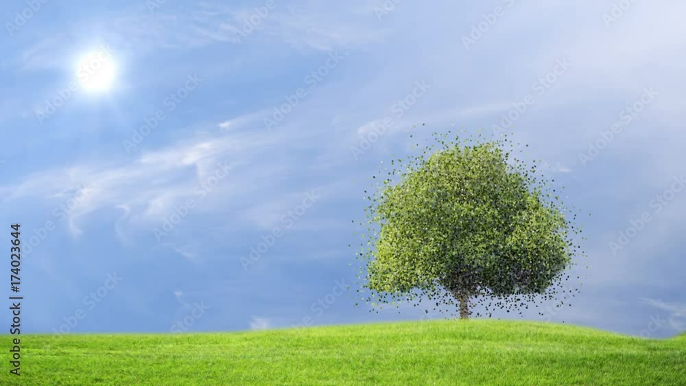 The particle merges into a tree shape and fade into a real tree on hill ...