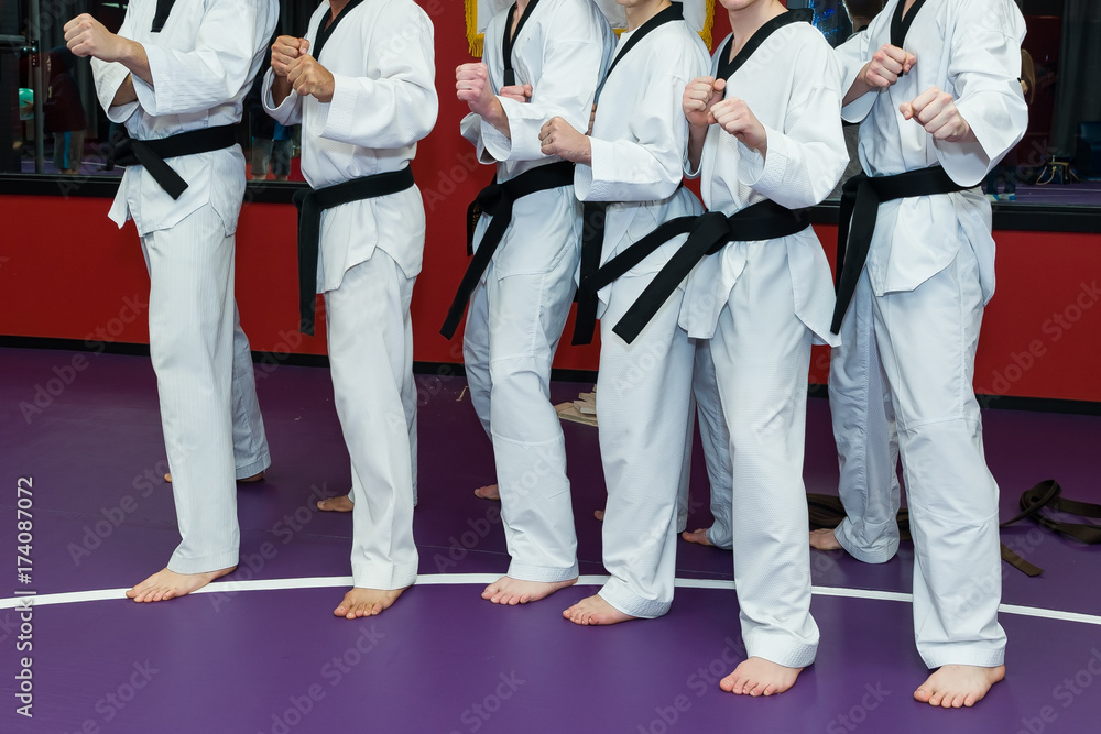 Guys in Martial Arts Stance Stock Photo | Adobe Stock