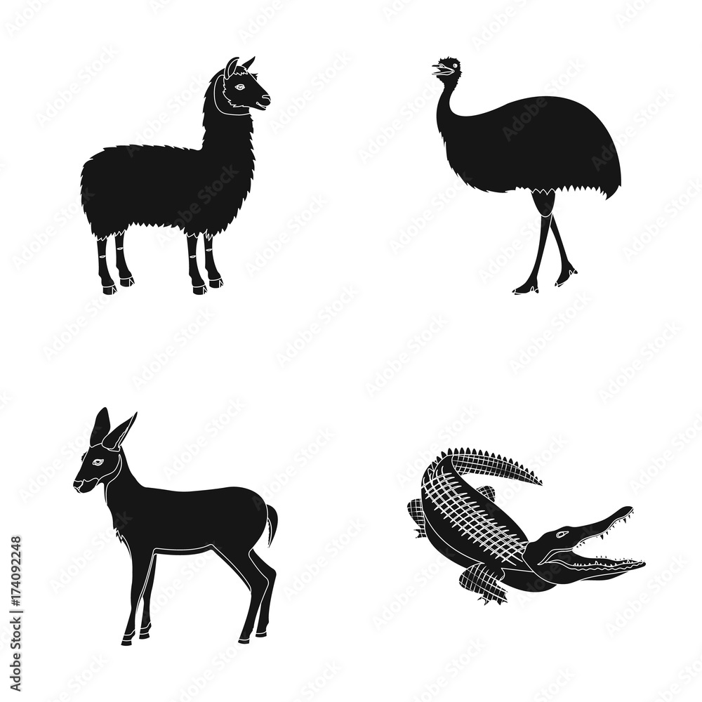 lama, ostrich emu, young antelope, animal crocodile. Wild animal, bird ...