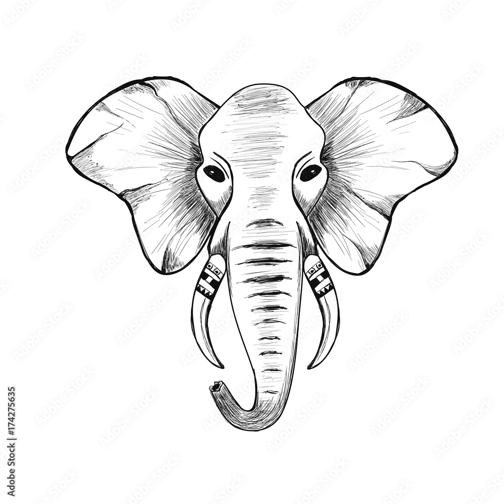 Boho Elephant Drawing