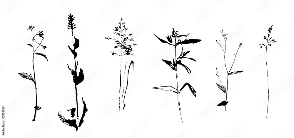 Set of hand drawn weed field herbs. Sketch or doodle style vector ...