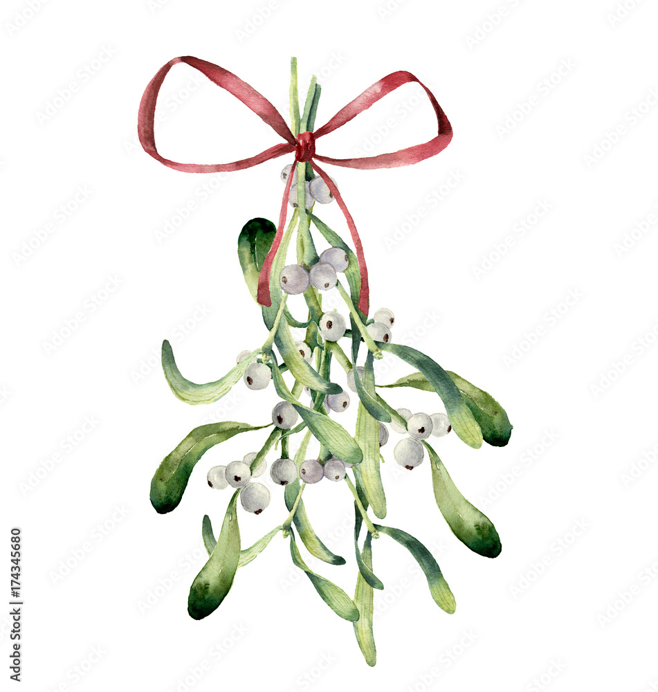 Watercolor mistletoe composition. Hand painted mistletoe bouquet of ...