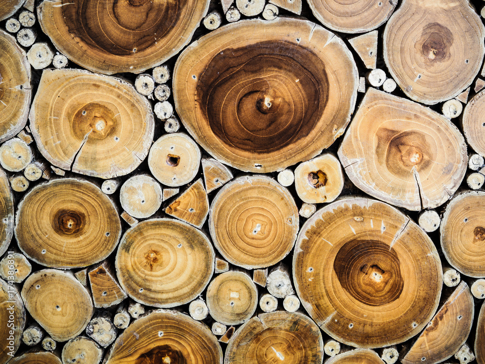 Seamless wood texture of cut tree trunk Stock Photo | Adobe Stock