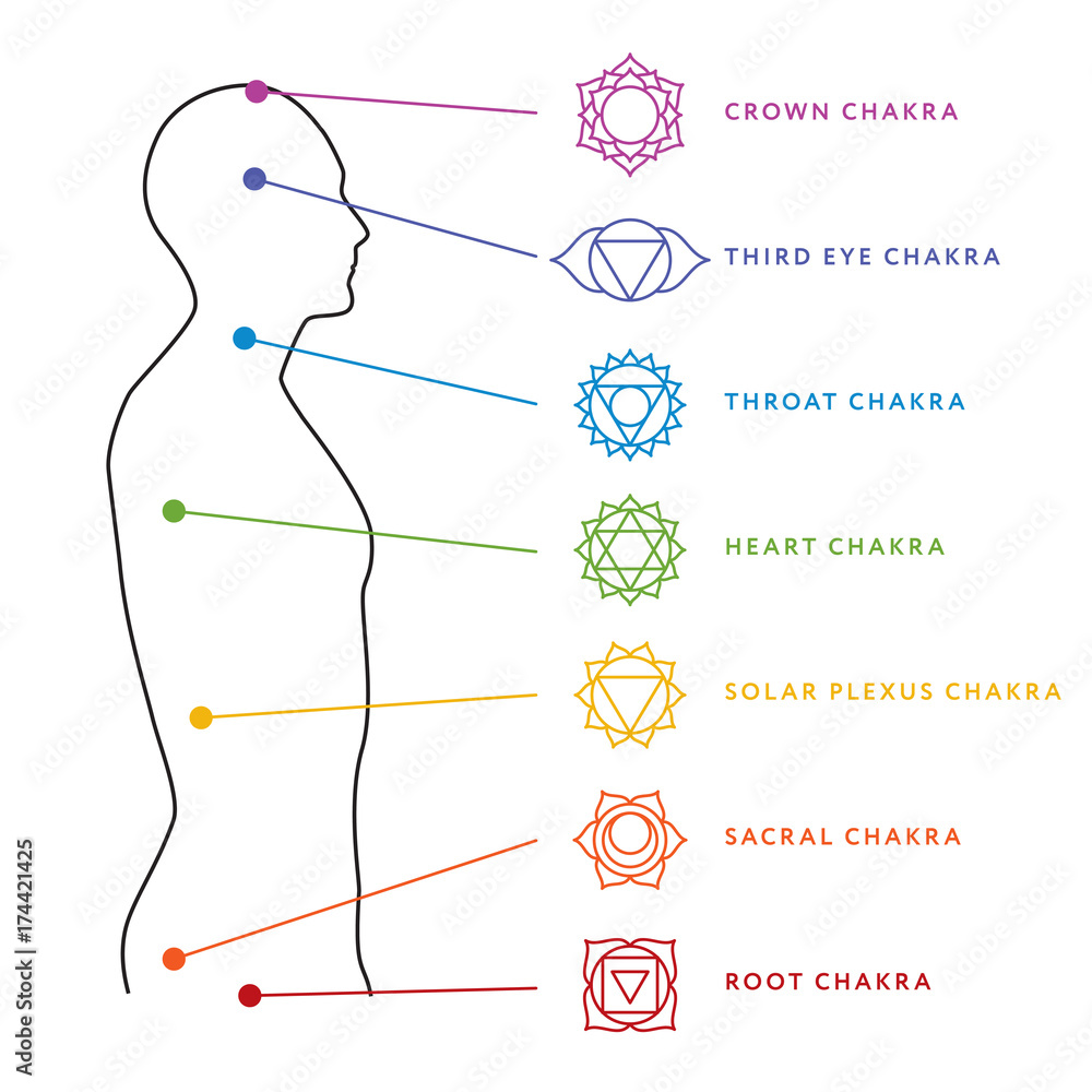 Chakra system of human body chart. Seven chakra symbols. Location ...