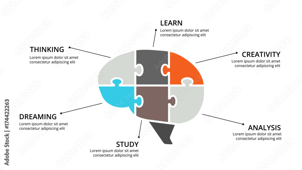 Vector brain infographic. Template for human head diagram, knowledge ...