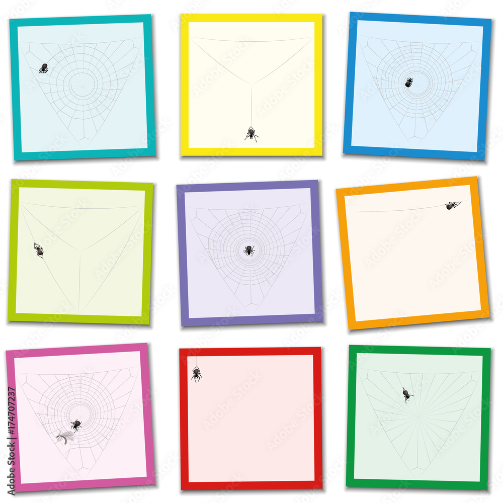 Spider web construction steps - bring the mixed up colored cards in the ...