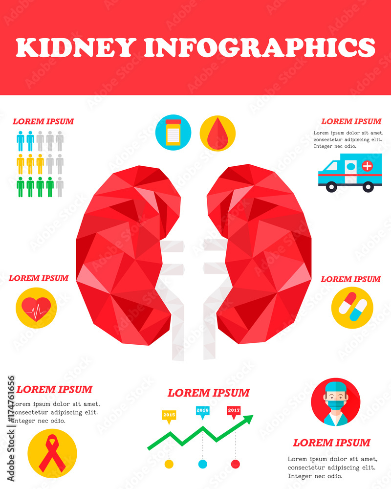 Infographic poster with kidney illustration and medical icons. Stock ...