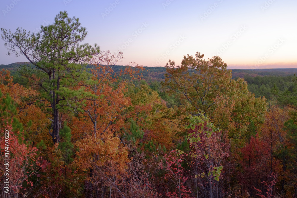 Morning tree and sky colors in Talladega National Forest near Heflin ...