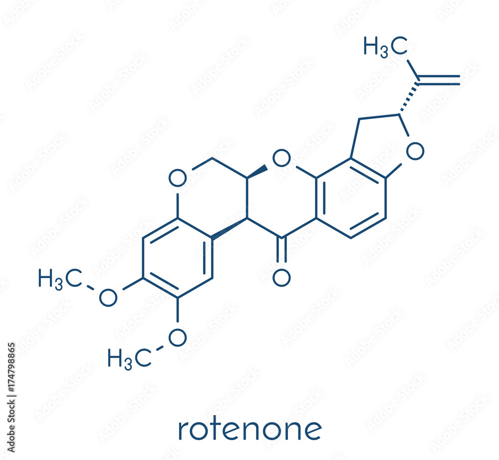 Rotenone broad-spectrum insecticide molecule. Also linked to ...