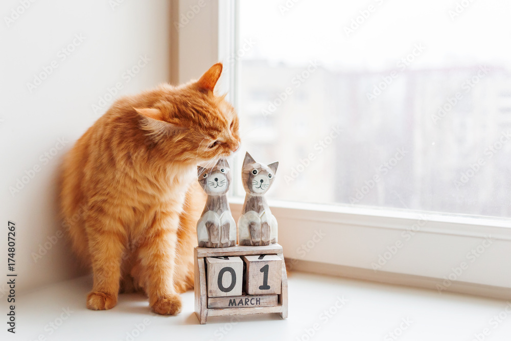 Cute ginger cat biting wooden calendar with cats and date March 1st ...