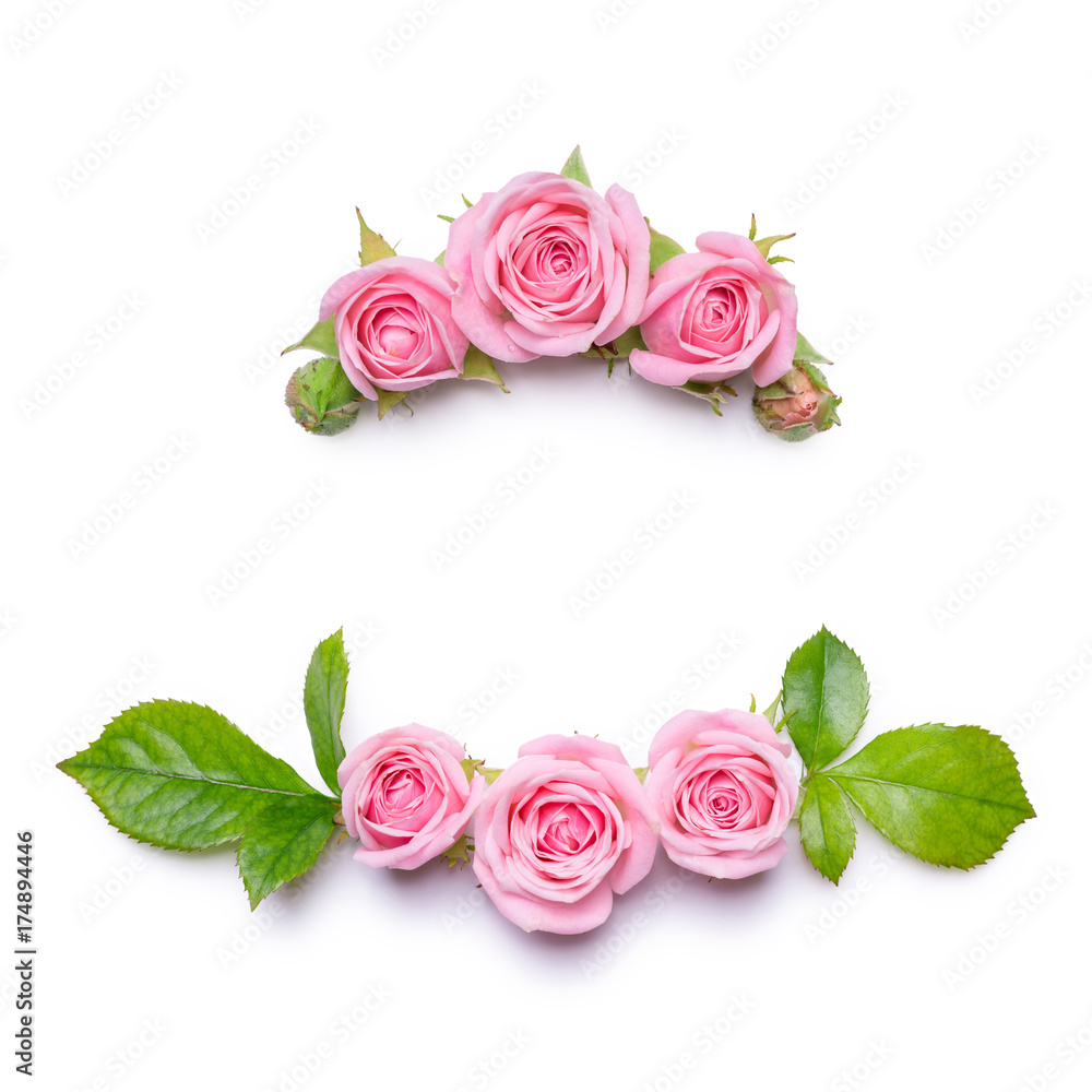 Rose Flower Frames Design