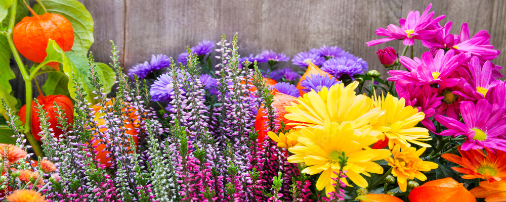 Flowers and wooden background Stock Photo | Adobe Stock