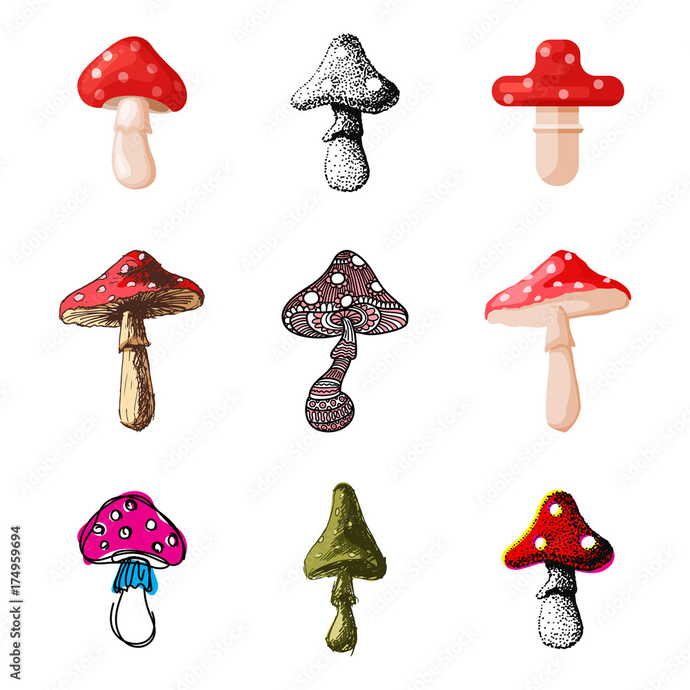 Amanita fly agaric toadstool mushrooms fungus different art style ...
