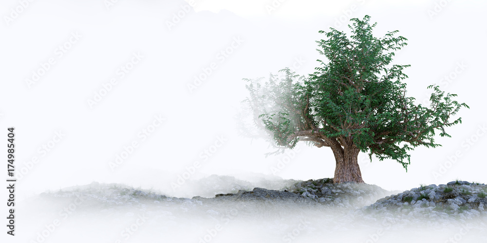 tree on the landscape background with fog concept symbolic composition ...