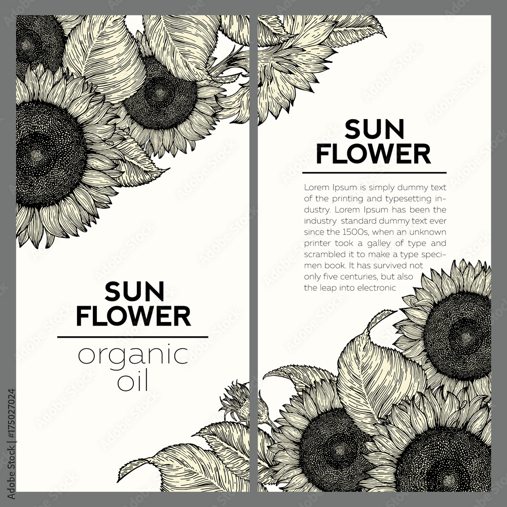 Set of two sunflower vintage design templates. Vector hand drawn ...