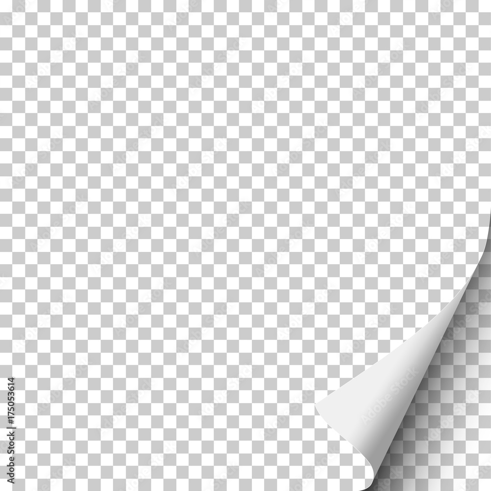 Vector transparent paper with curled lower right corner and soft shadow ...