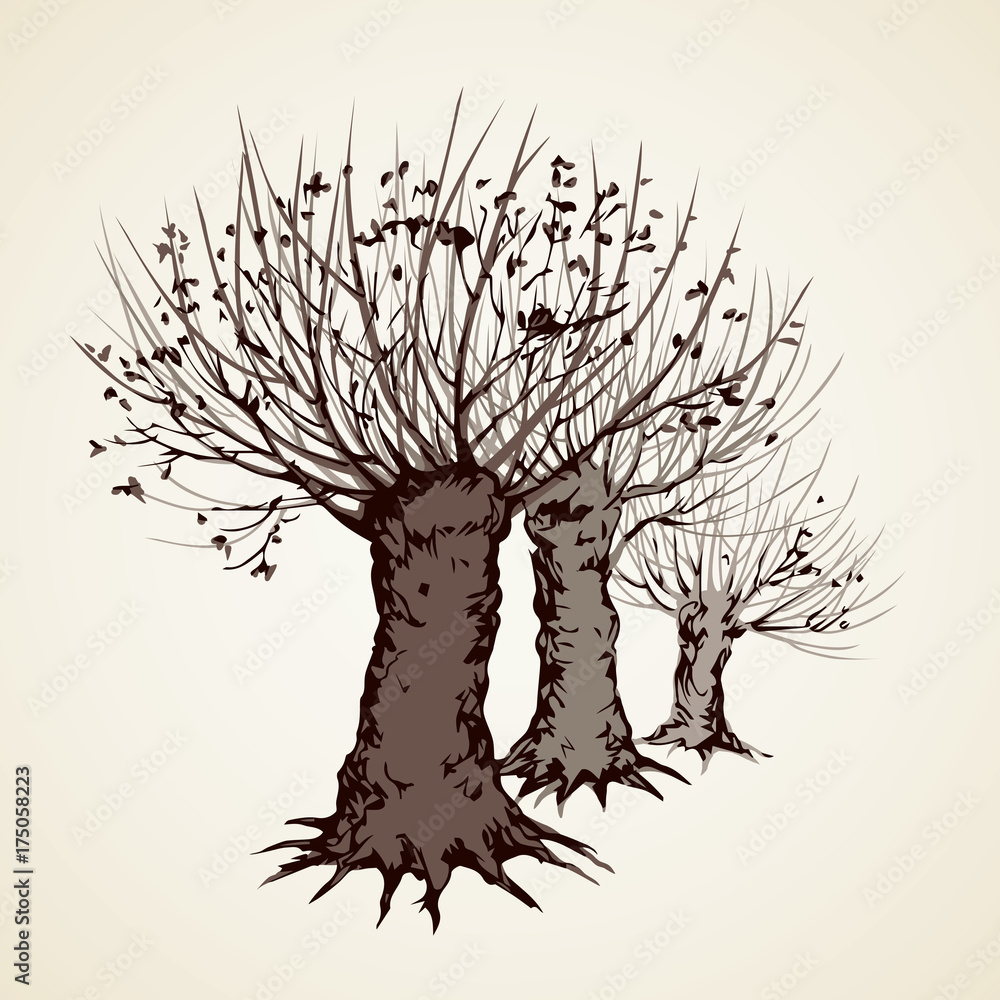 Alley of leafless trees. Vector drawing Stock Vector | Adobe Stock