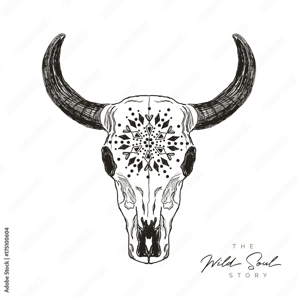 Bull Skull Illustration