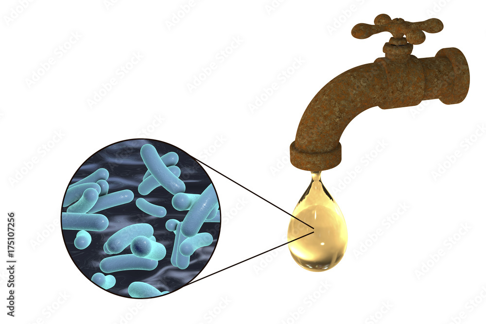 Water Microbes